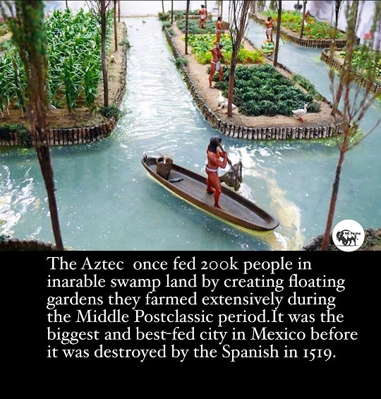 Native Americans & First Nations